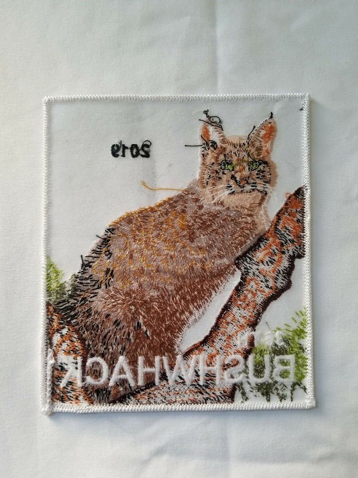 NEW Boy Scouts of America 36th Winter Bushwhack 2019 Patch, Bobcat | eBay