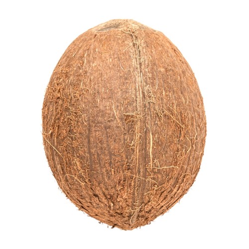 WHOLE COCONUT SHELL 100% Natural Pure Eco Friendly 3 Large size of ...