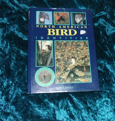 Identifier Ser.: North American Bird Identifier by Rick Imes (1991 ...