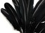 1/4 Lb. Black Turkey Tom Rounds Secondary Wing Quill Wholesale Feathers ...