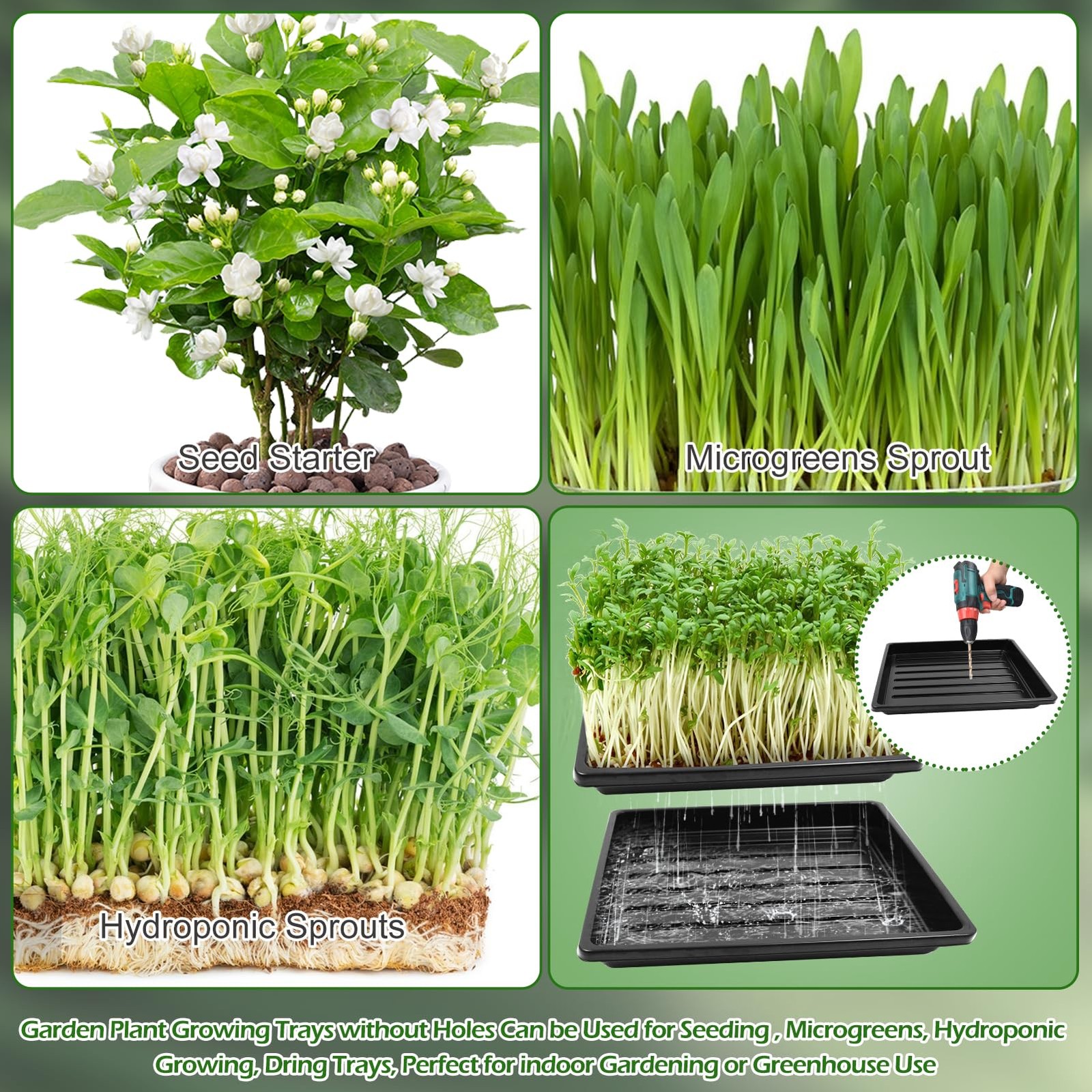 6Set Microgreens Growing Mat with Tray, Microgreen 10" x x 0.2", Black ...