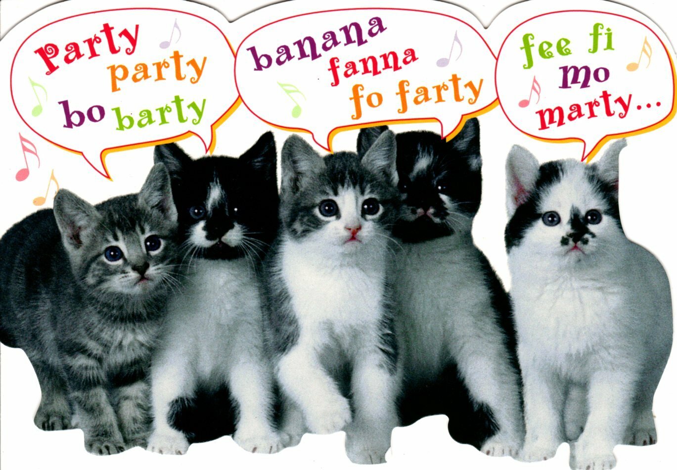 Happy Birthday Kitten Images