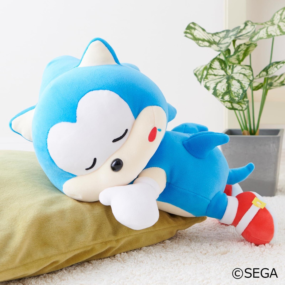 Sonic Laying