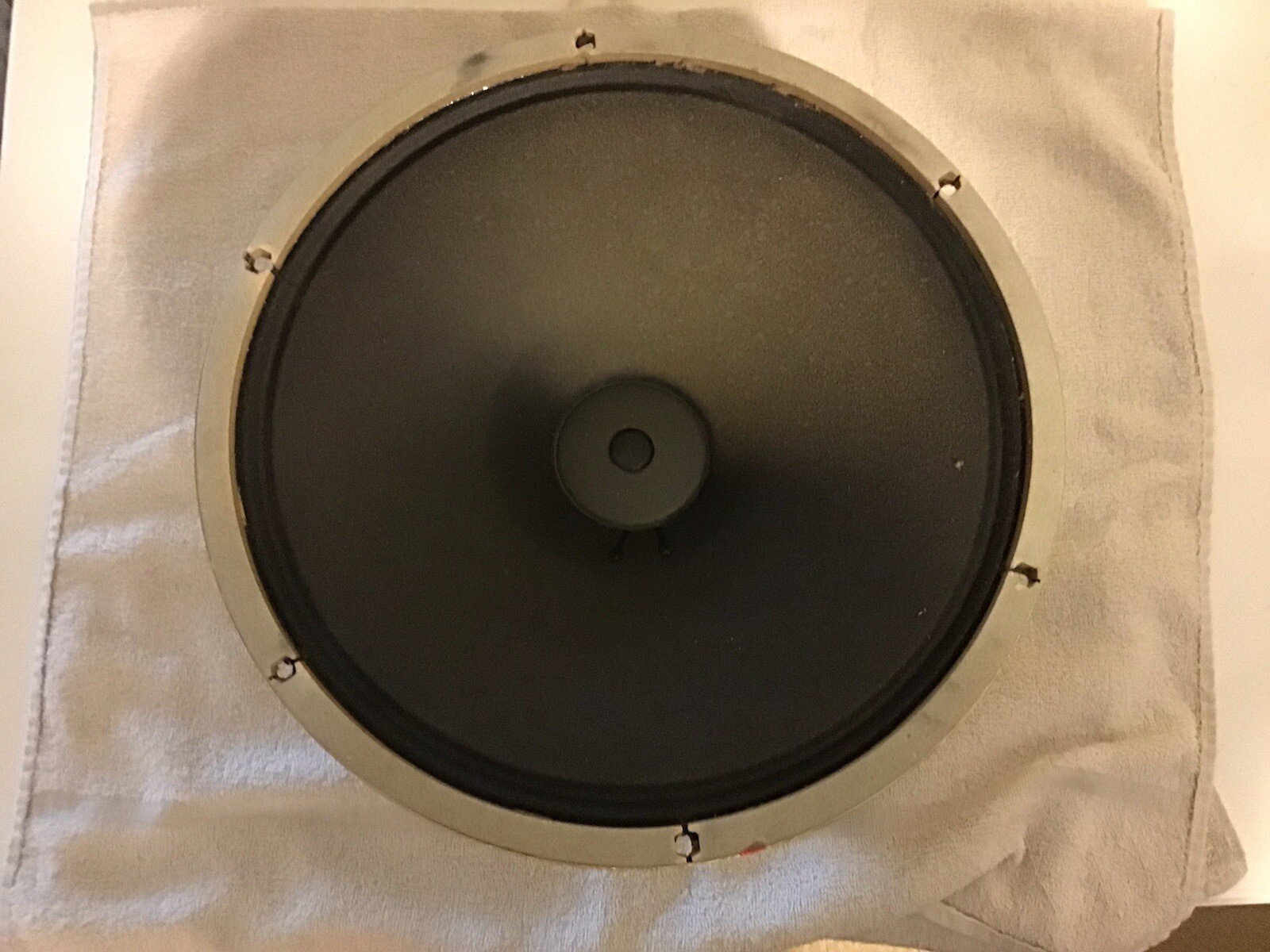 12” Woofers For 60’s Coral Speaker 12L-10, 2 Each | eBay