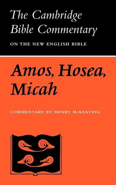 The Books of Amos, Hosea, Micah von Henry McKeating (2008, Taschenbuch) for sale online | eBay