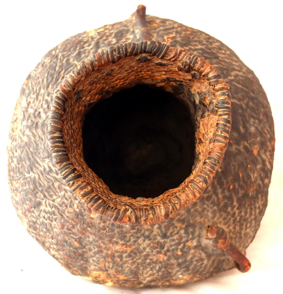 Large Antique Native American Indian Apache Water Bottle Basket | eBay