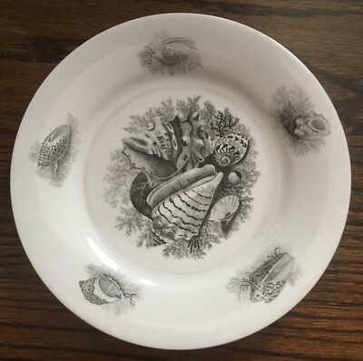 Antique Barr Flight Barr Bat Printed Shell & Seaweed Plate Gold Details ...