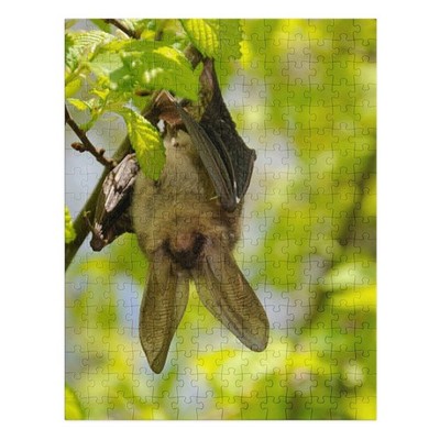 Big-Eared Bat, Photography Jigsaw puzzle with tin 252 pc | eBay