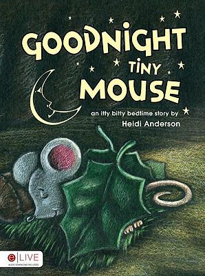 Goodnight Tiny Mouse : An Itty Bitty Bedtime Story by Heidi Anderson ...