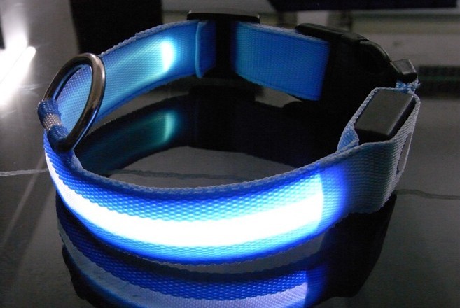 Small Pink LED Dog Collar - Dog Visibility, Light-up Puppy Tags, Safety ...