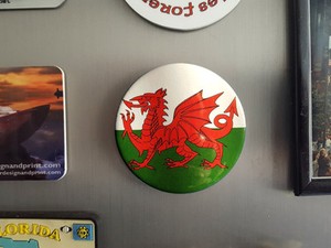 Welsh Flag - Fridge Magnet - 58mm diameter | eBay
