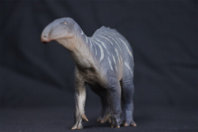 Dinosaur Neera Drawings