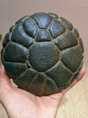 China Natural stone "tortoise back pattern" stone Moire stone 1413966 ...