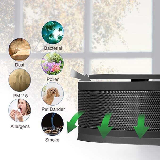 Portable Air Purifier/Cleaner Dual True HEPA Filter 3 Speed Settings ...
