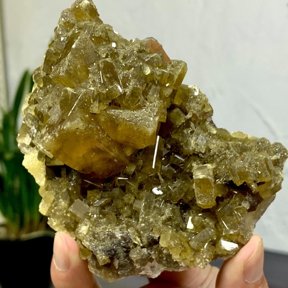 1.16LB Shiny Golden Cuboid Barite Crystal Based on the Purple Spherical ...