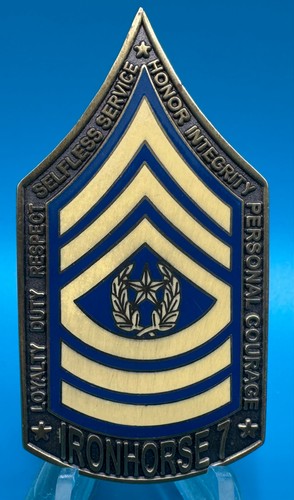 U.S. Army 4th Infantry Division CSM Riling "Ironhorse 7" Military ...