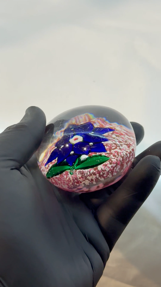 Antique Boston & Sandwich Glass Company Blue Poinsettia Glass ...