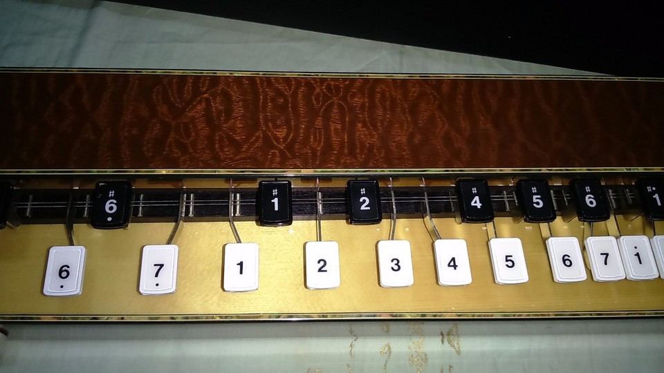 COMNICS Model #80 2-string Electric Taisho Koto (Taishogoto) + Hard ...