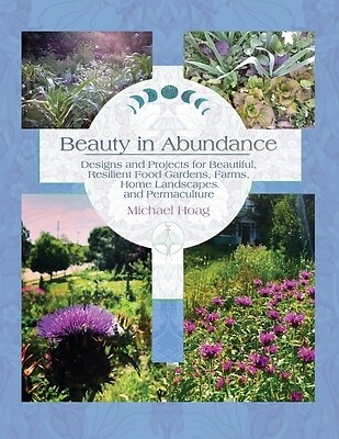 Beauty in Abundance Designs and Project Michael Hoag Paperback ...