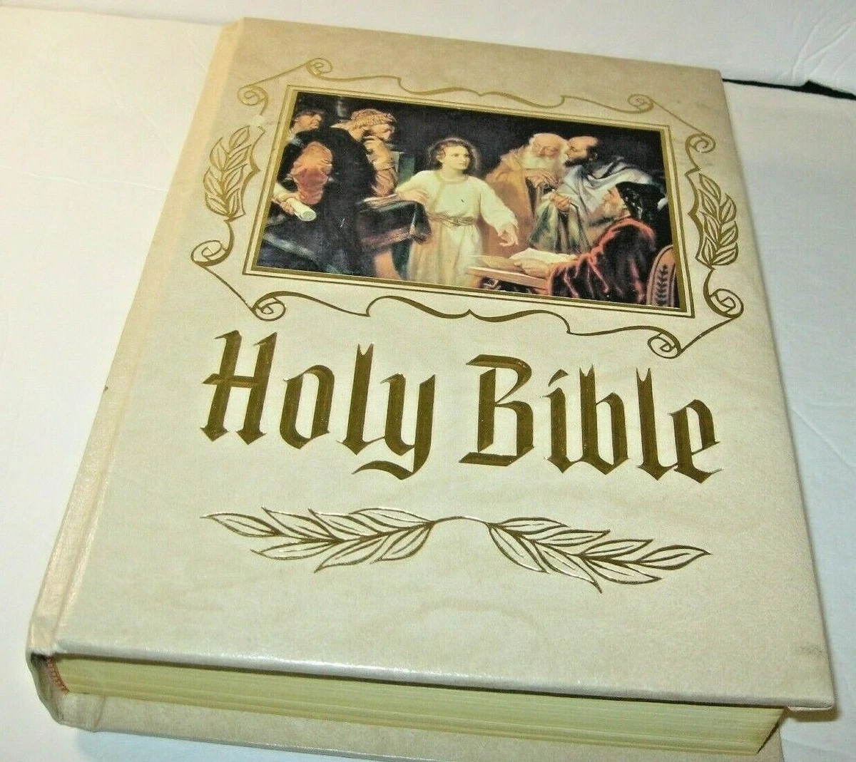 Holy Bible Cover Art