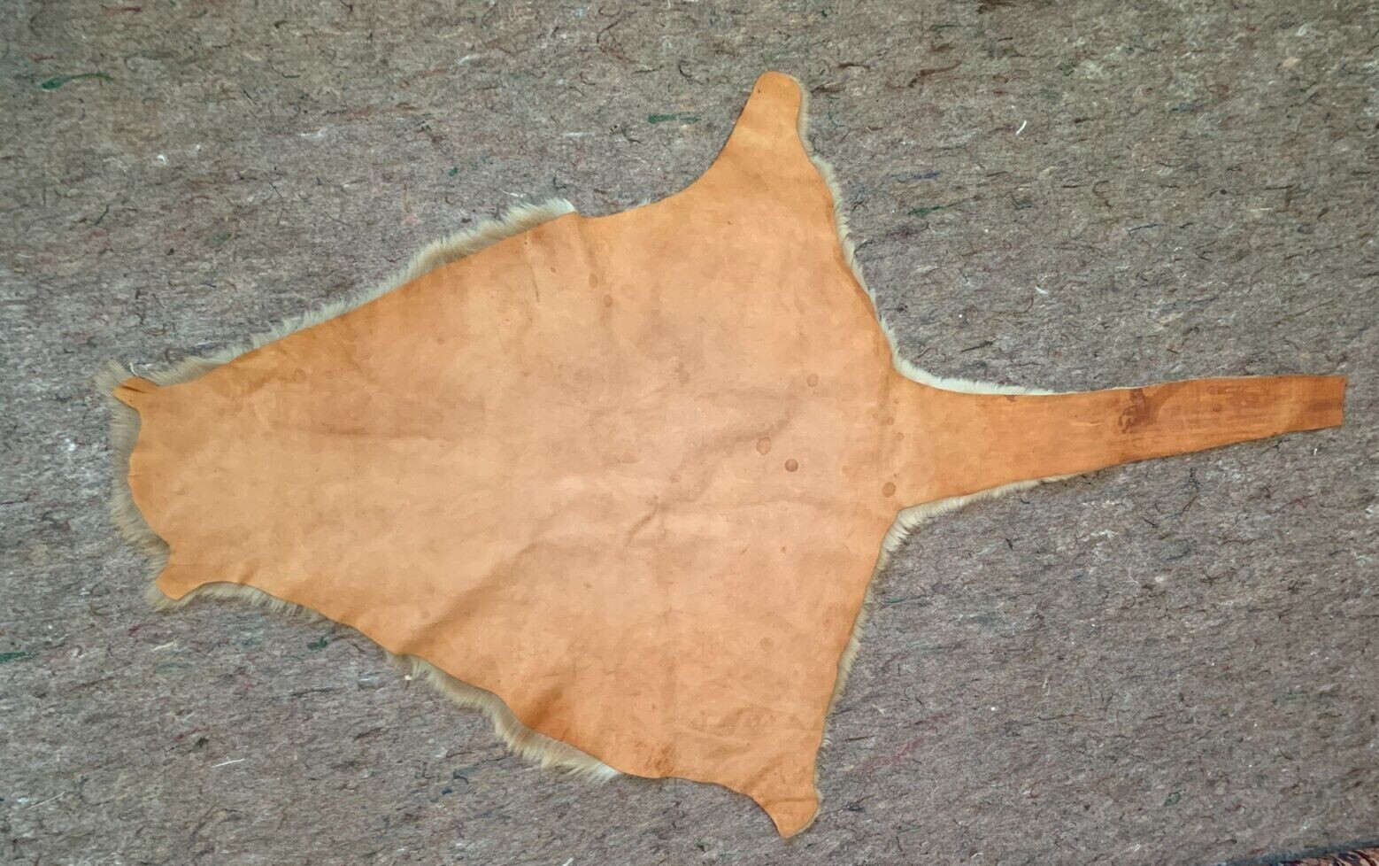 Tanned Kangaroo Hide Pelt Free Shipping in the Continental USA | eBay