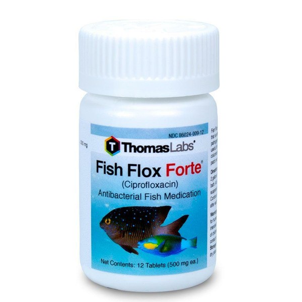 Fish Flox Forte 500mg 12 Capsules by Thomas Labs Aquarium Treatmen for ...