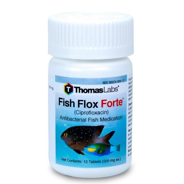 Fish Flox Forte 500mg 12 Capsules by Thomas Labs Aquarium Treatmen for ...