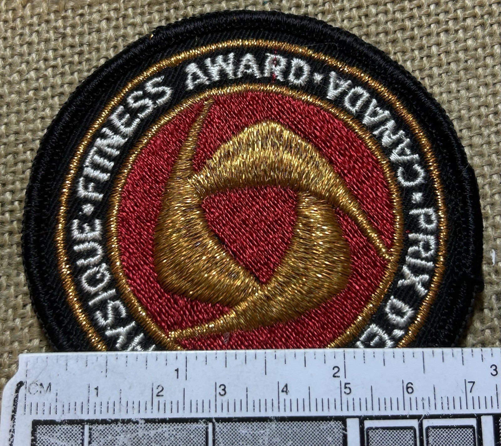 VTG Fitness Award Canada Prix D’Efficience Bronze 3” Patch ***READ | eBay