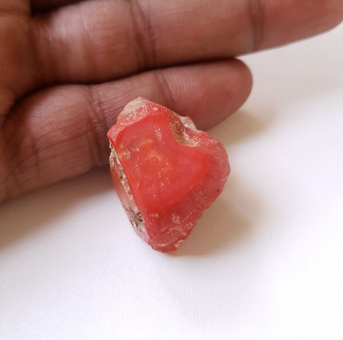 Mediterranean Untreated Red Coral Rough Undyed Natural Italy Coral Raw ...