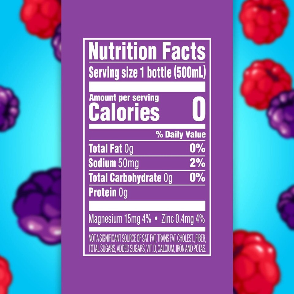 Splash Refresher Wild Berry Flavor Water Beverage 16.9 Fl Oz (Pack of ...