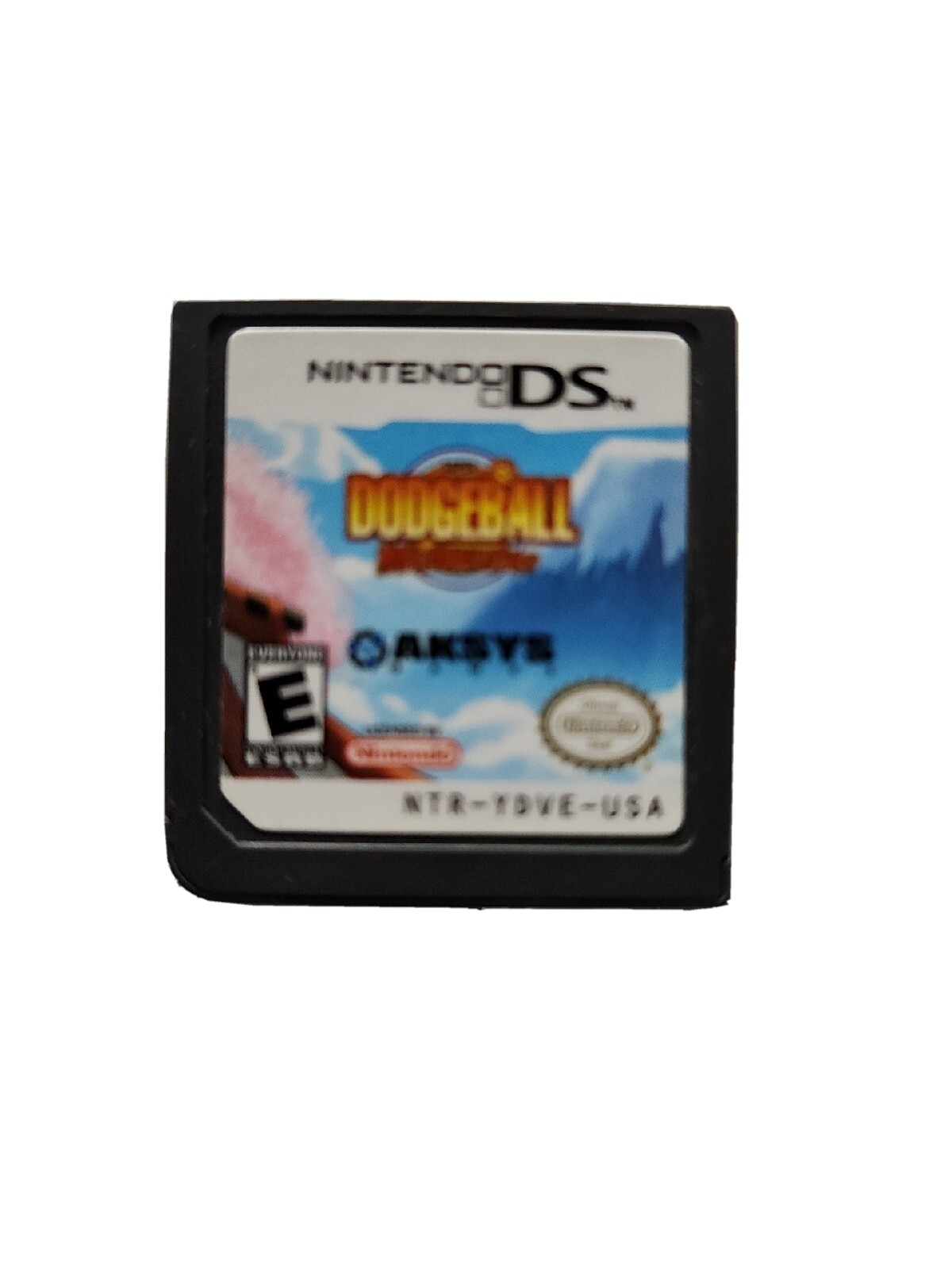Super Dodgeball Brawlers (Nintendo DS, 2008) Loose Cart Only Authentic ...