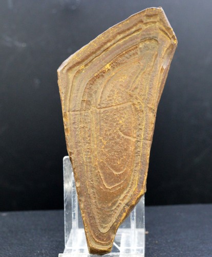 Tsesite 263 Gramm - Sahara, Algerie | eBay.de