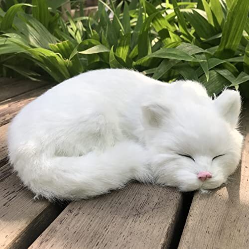 Realistic Sleeping Cat Very Cute Adorable Realistic Sleepy Cat Are