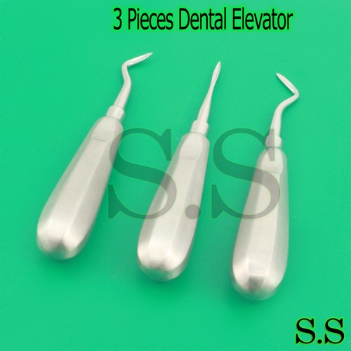 3 Pieces Dental Straight Surgery Extraction Root Tip Apical Elevator | eBay