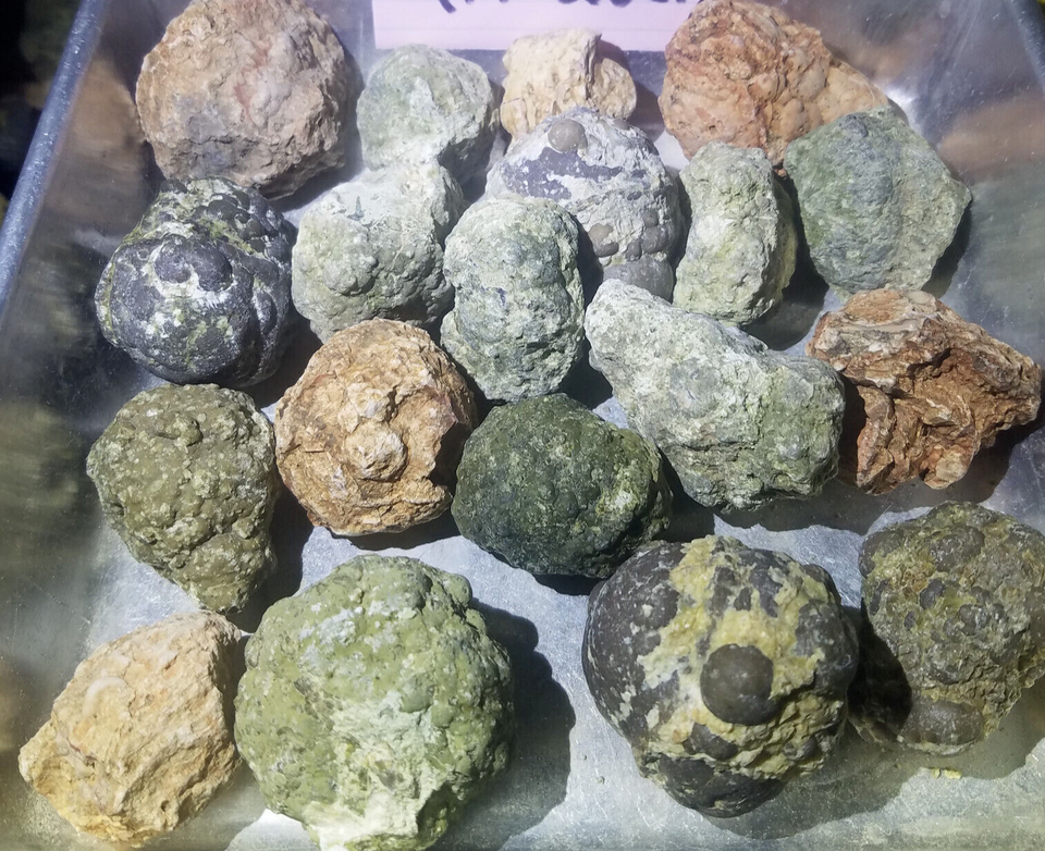 OREGON THUNDER EGGS (3 lb Lot of 19 to 22 ) Mixed Uncut Whole Geode ...