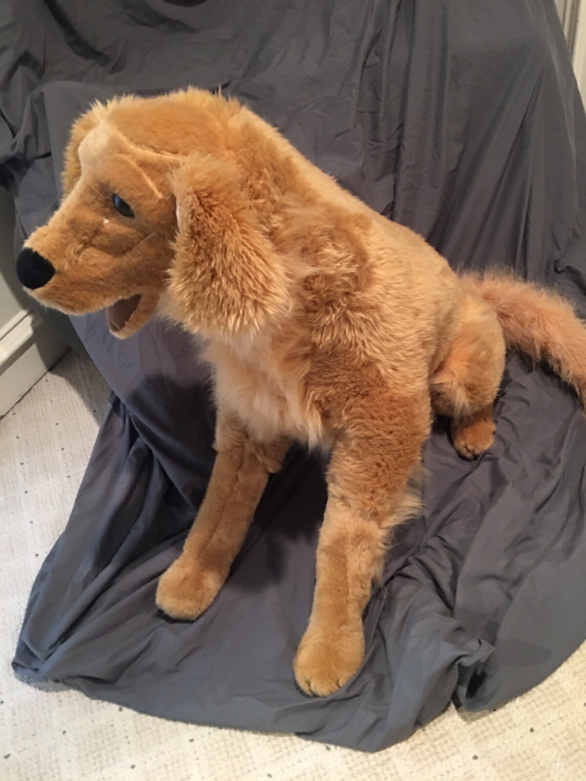 Life Size Stuffed Cats