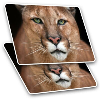 2 x Rectangle Stickers 7.5 cm - Stunning Puma Wild Animals Cool Gift ...