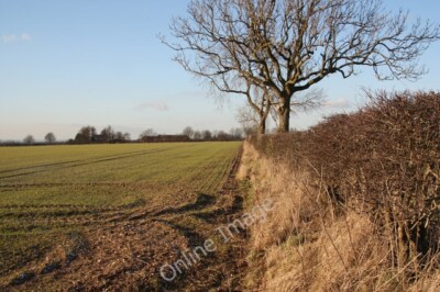 Photo 6x4 Hainton hedgeline Looking NW from the trigpoint towards Cow ...