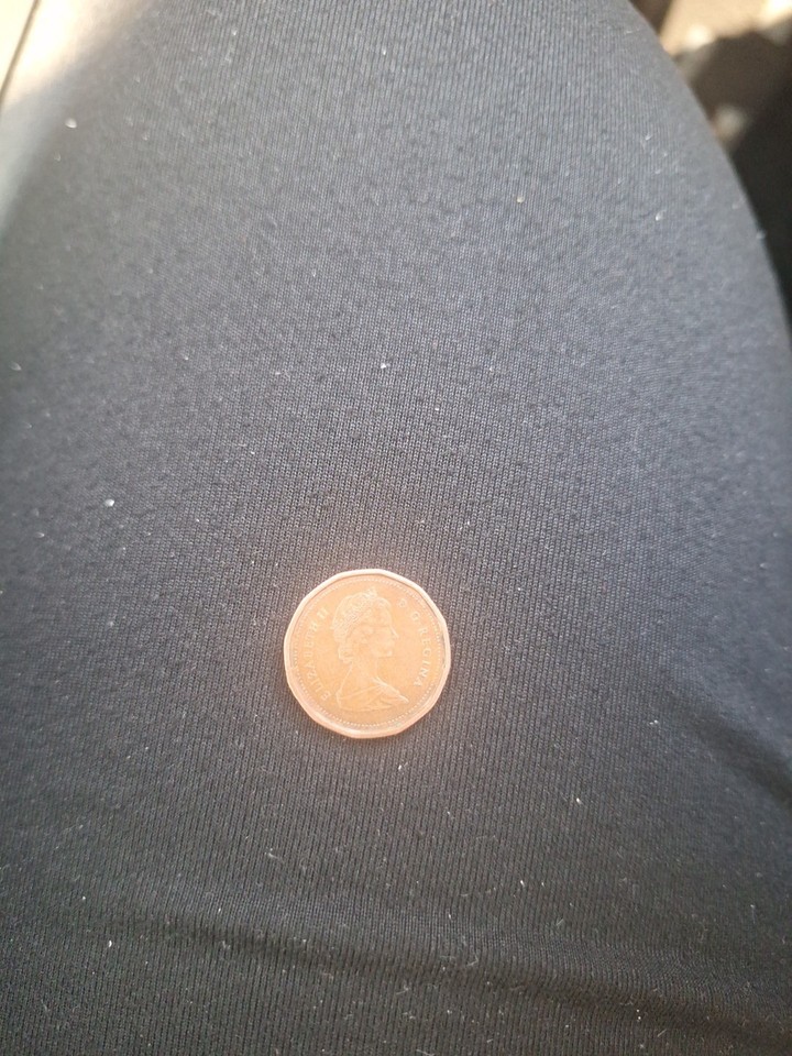 Selling Rare 1987 Elizabeth ll D G Regina Coin (BEST OFFER) | eBay