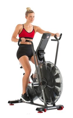 Schwinn Airdyne PRO AD7 Exercise Air Bike Total Body Ab Core Fitness ...