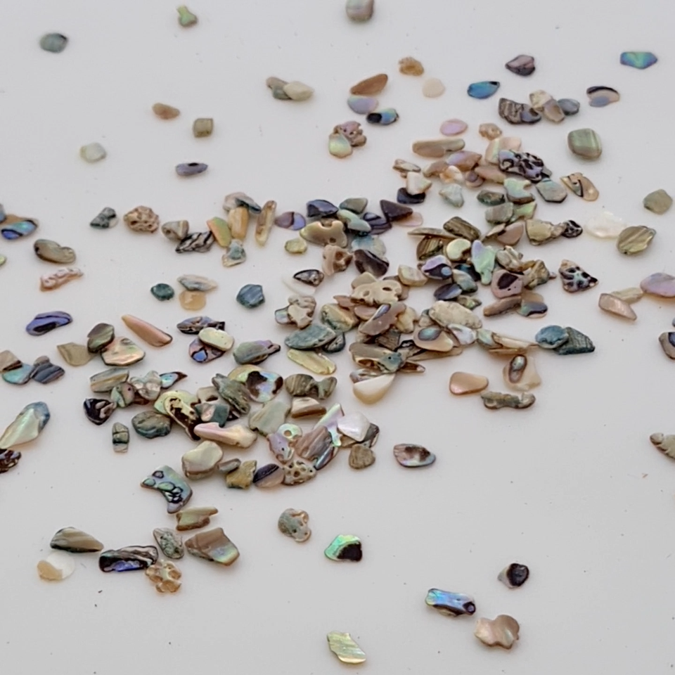 900pcs Tiny Abalone NZ Paua Shell Pieces 20g Tiny Resin Art Shell Craft ...
