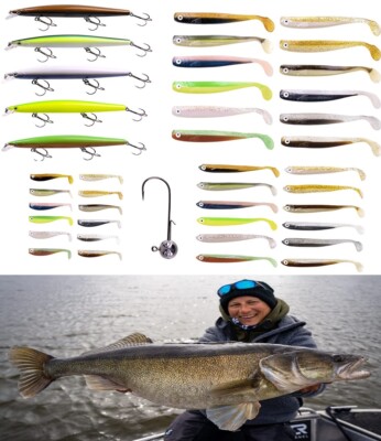 Zeck / Sebastian Hänel ZANDER Gummi / ZANDER Läufer / Jig-Haken | eBay ...