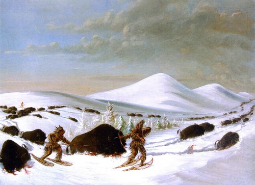 Oil painting portraits wild animals Buffalo-Hunt-in-Winter-George ...