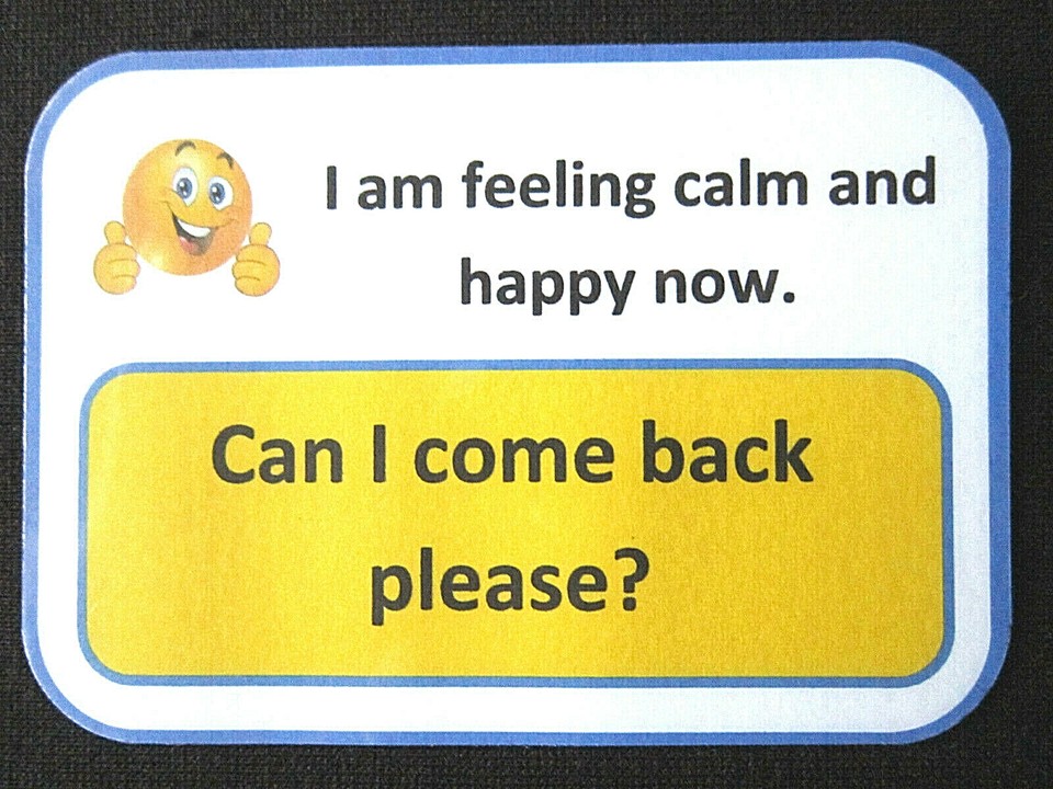 Time Out & Come Back Cards Visual Aid, ADHD, Autism, Classroom ...