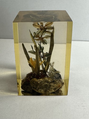 Vintage Signed Resin Paperweight W Rolfe Flower Terrarium Cube Nature ...