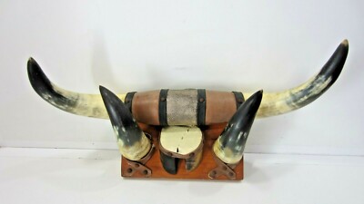 Mounted Steer Horn Set Texas Longhorn Bull 24 Inch w/Hooves | eBay