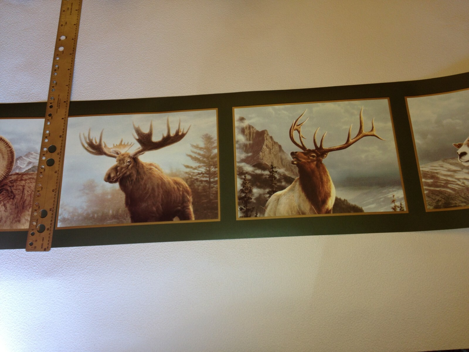 RAMS ELK MOOSE WILDLIFE IN PICTURE FRAMES PREPASTED WALLPAPER BORDER ...