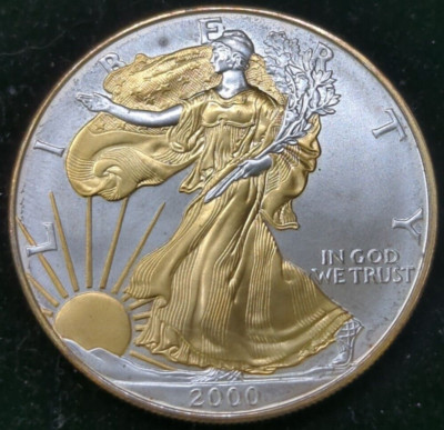 2000 Gold Gilded American Silver Eagle 1 oz Coin (JW458) | eBay