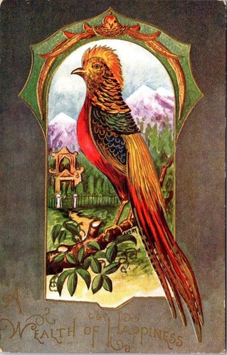 BIRDS, "Wealth of Happiness" GOLDEN PHEASANT Postcard - Artist Signed ...