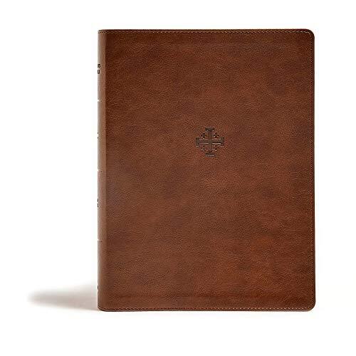CSB Life Connections Study Bible Brown LeatherTouch by Lyman Coleman ...